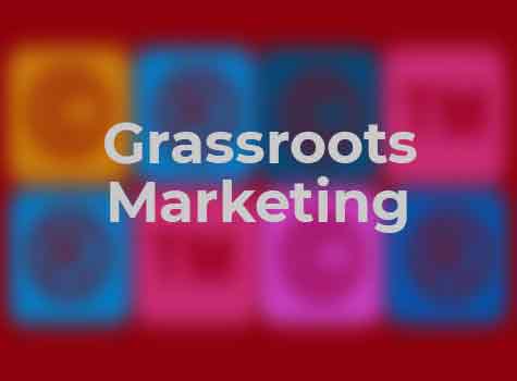 Grassroots Marketing Strategy - Marketing Strategy