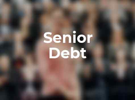 Senior Debt - Business Finance